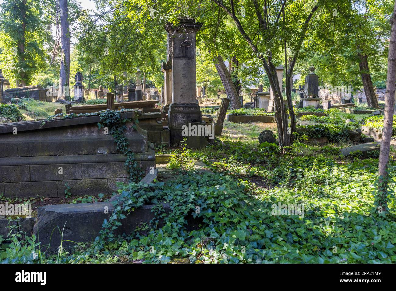 Time seems to stand still at the Elias Cemetery in Dresden. Gravestones ...