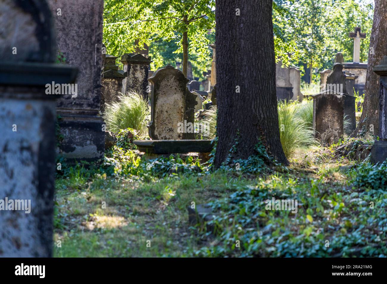 The Elias Cemetery in Dresden, Germany, has been disused since 1876 and ...