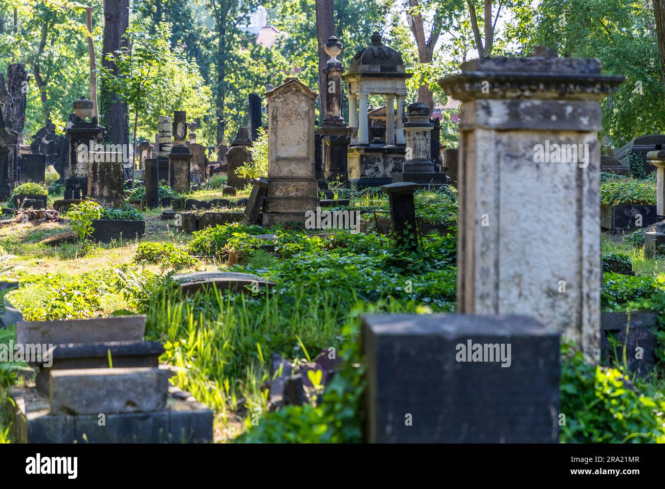 The Elias Cemetery in Dresden, Germany, has been disused since 1876 and ...