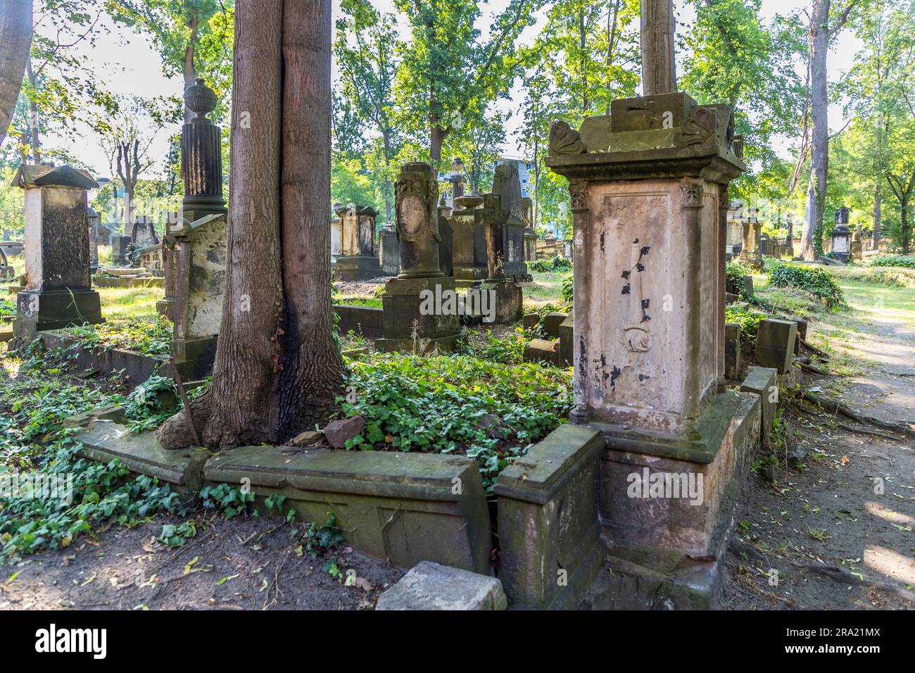 Natural growth cemetery hi-res stock photography and images - Alamy