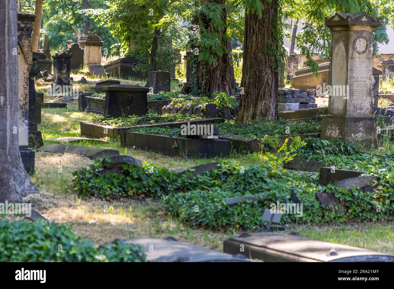 The Elias Cemetery in Dresden, Germany, has been disused since 1876 and ...