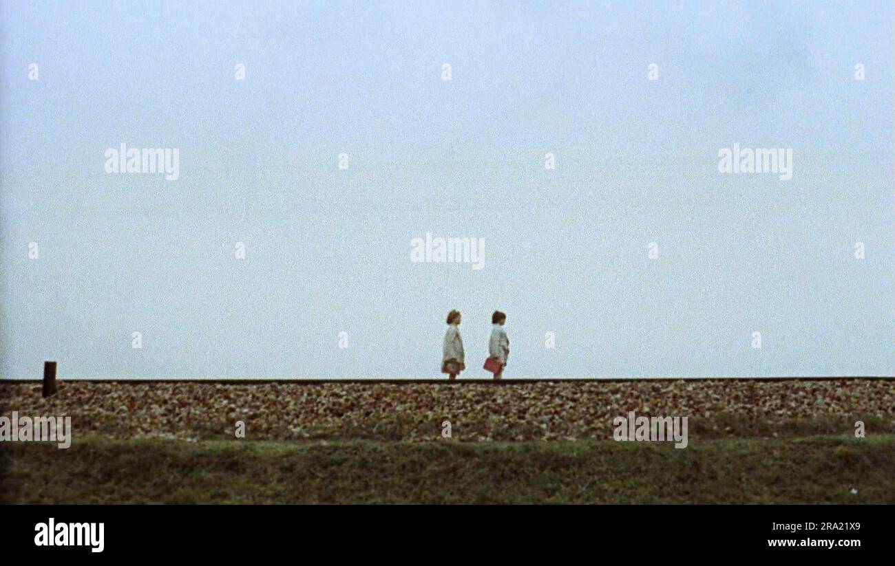 THE SPIRIT OF THE BEEHIVE (1973) -Original title: EL ESPIRITU DE LA ...