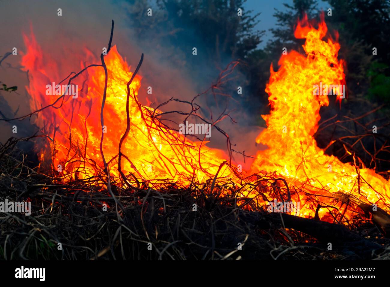 Malibu fire 2025 forest hi-res stock photography and images - Alamy