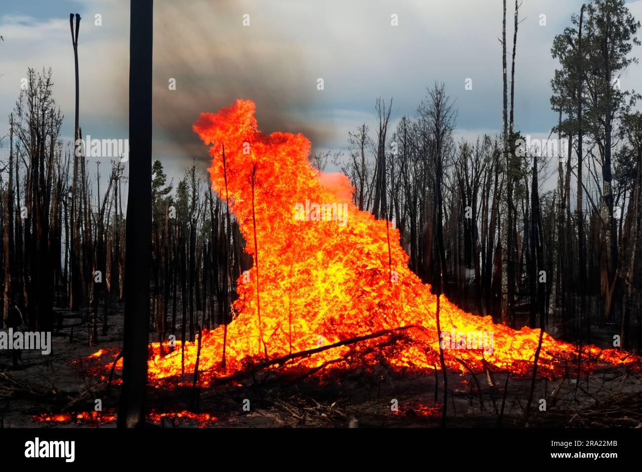 Malibu fire 2025 forest hi-res stock photography and images - Alamy