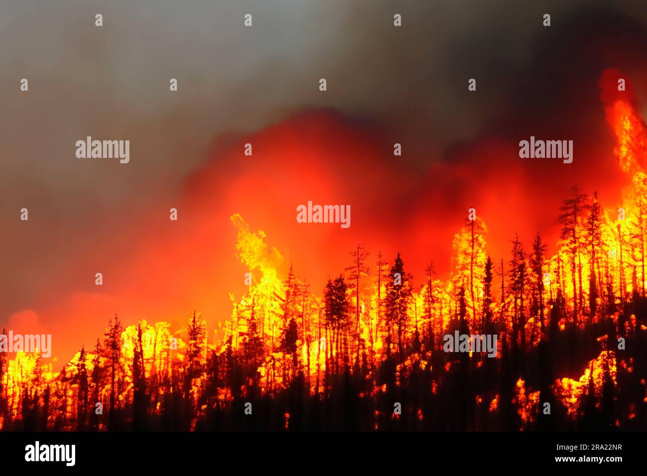 Wildfire. Palisades. Forest fire. Forest. Forest fire in progress. Fire ...