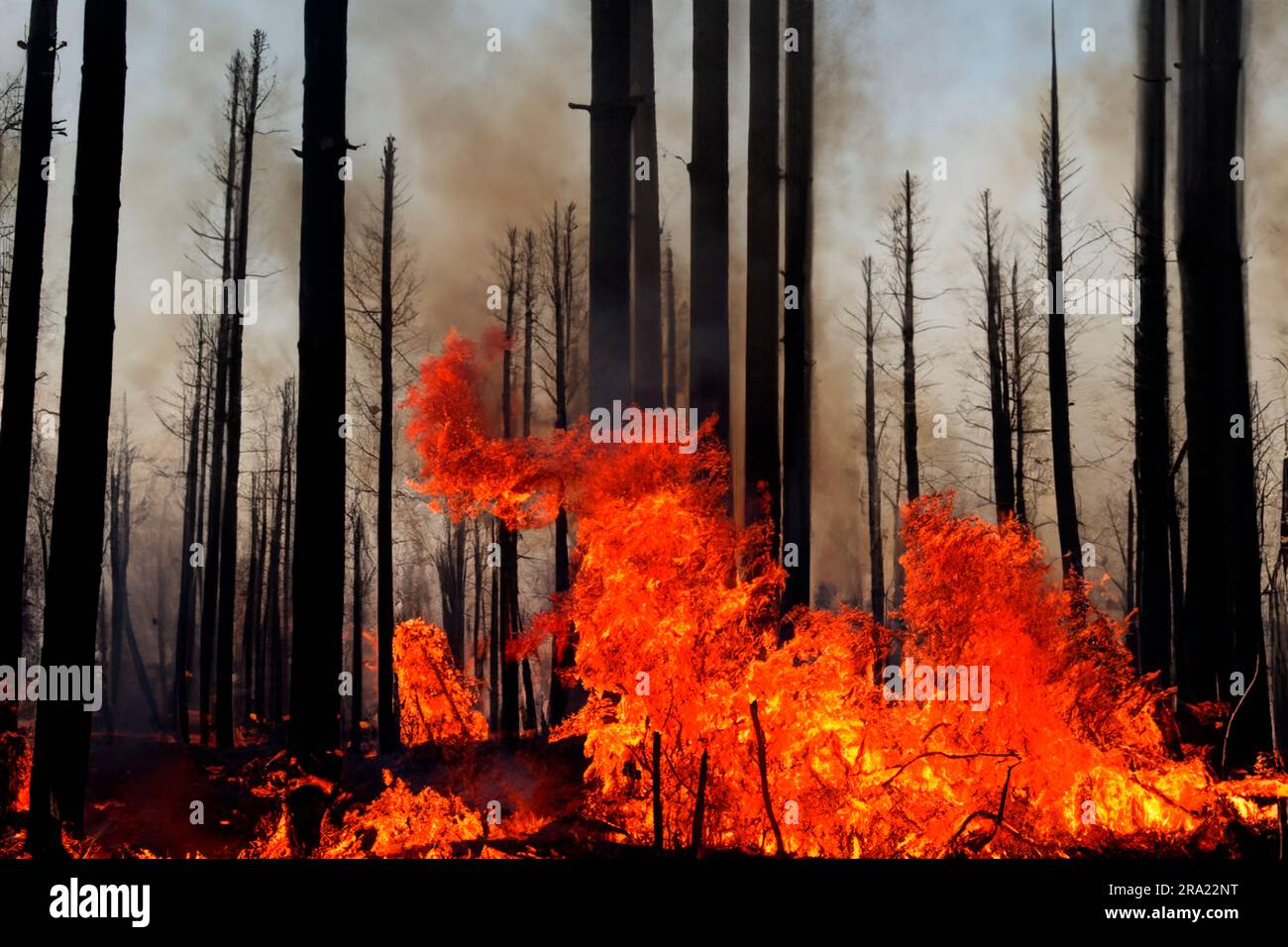 Malibu fire 2025 hi-res stock photography and images - Alamy