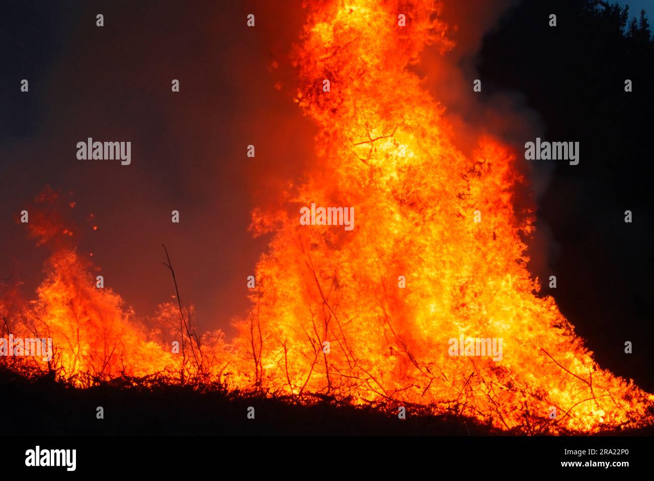 Wildfire. Palisades. Forest fire. Forest. Forest fire in progress. Fire ...