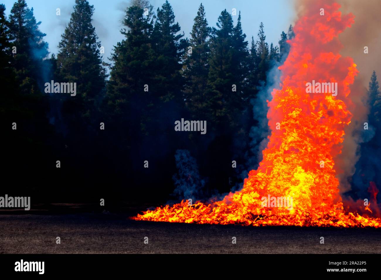 Wildfire. Karteri. Corinth. Greece. Wildfires 2025. Columbia. Forest ...