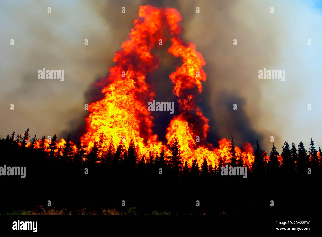 Malibu fire 2025 forest hi-res stock photography and images - Alamy