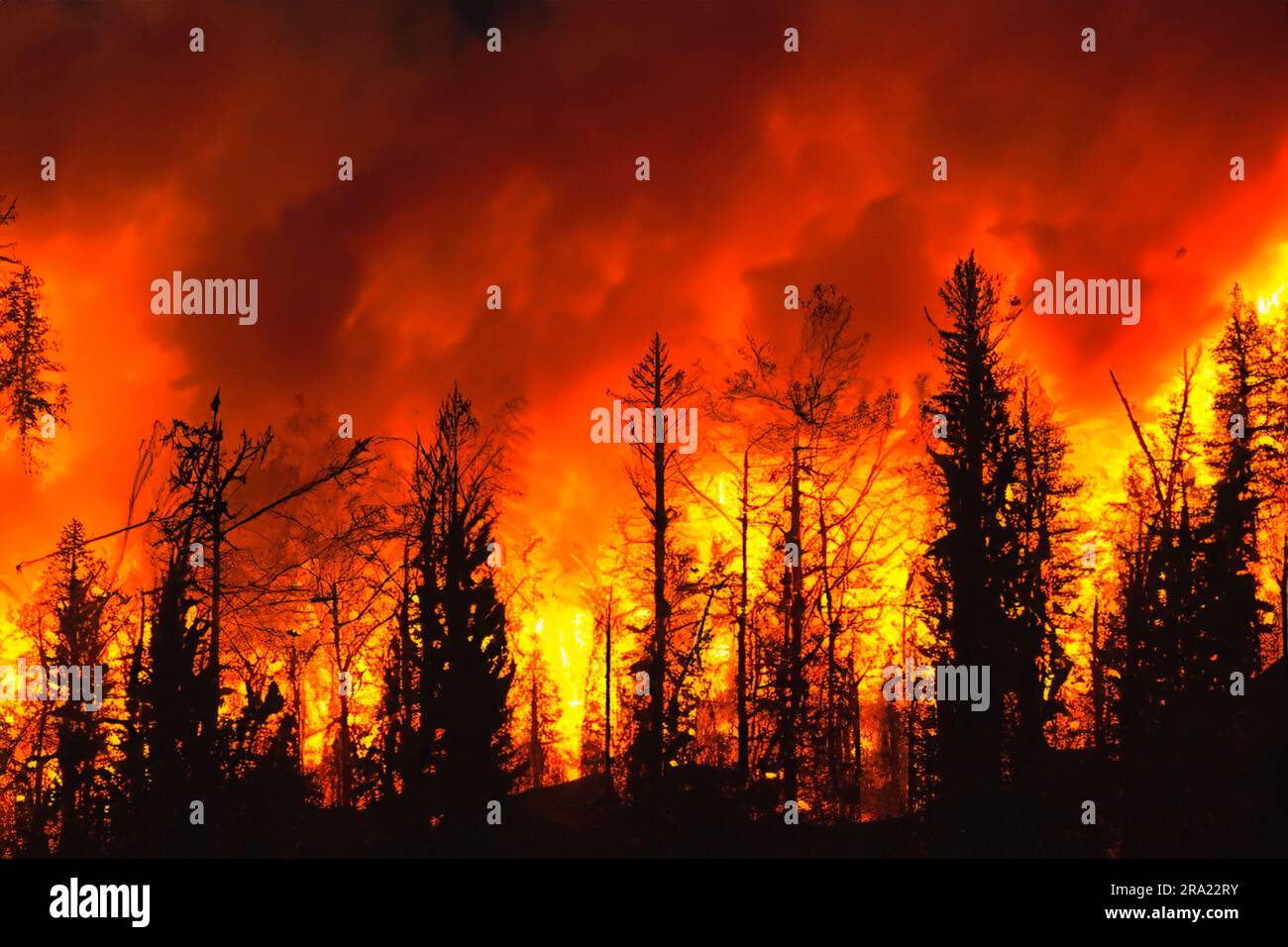 Wildfire. Karteri. Corinth. Greece. Wildfires 2025. Columbia. Forest ...