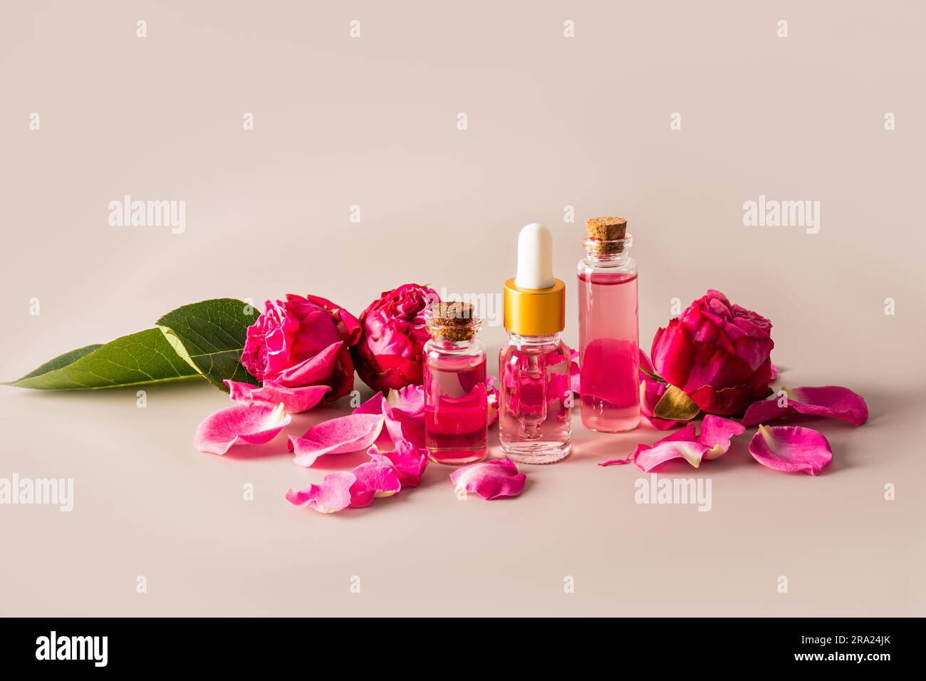 A set of cosmetics based on rose oil in various bottles among the buds ...