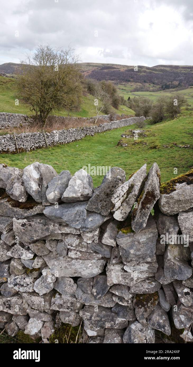 Landscape photograph, Derbyshire Dales. Views of limestone walls and ...