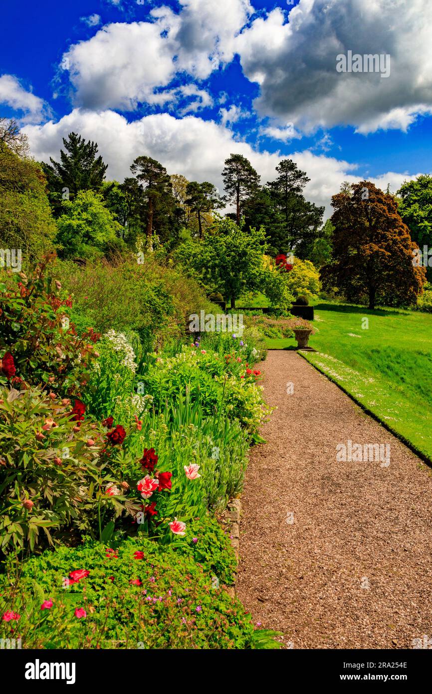The colorful herbaceous borders on the terraces in front of ...