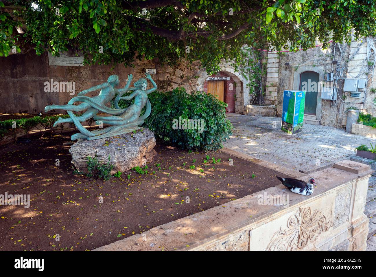 Fonte Aretusa, Siracuse. The Fountain of Arethusa (Fonte Aretusa), is a ...
