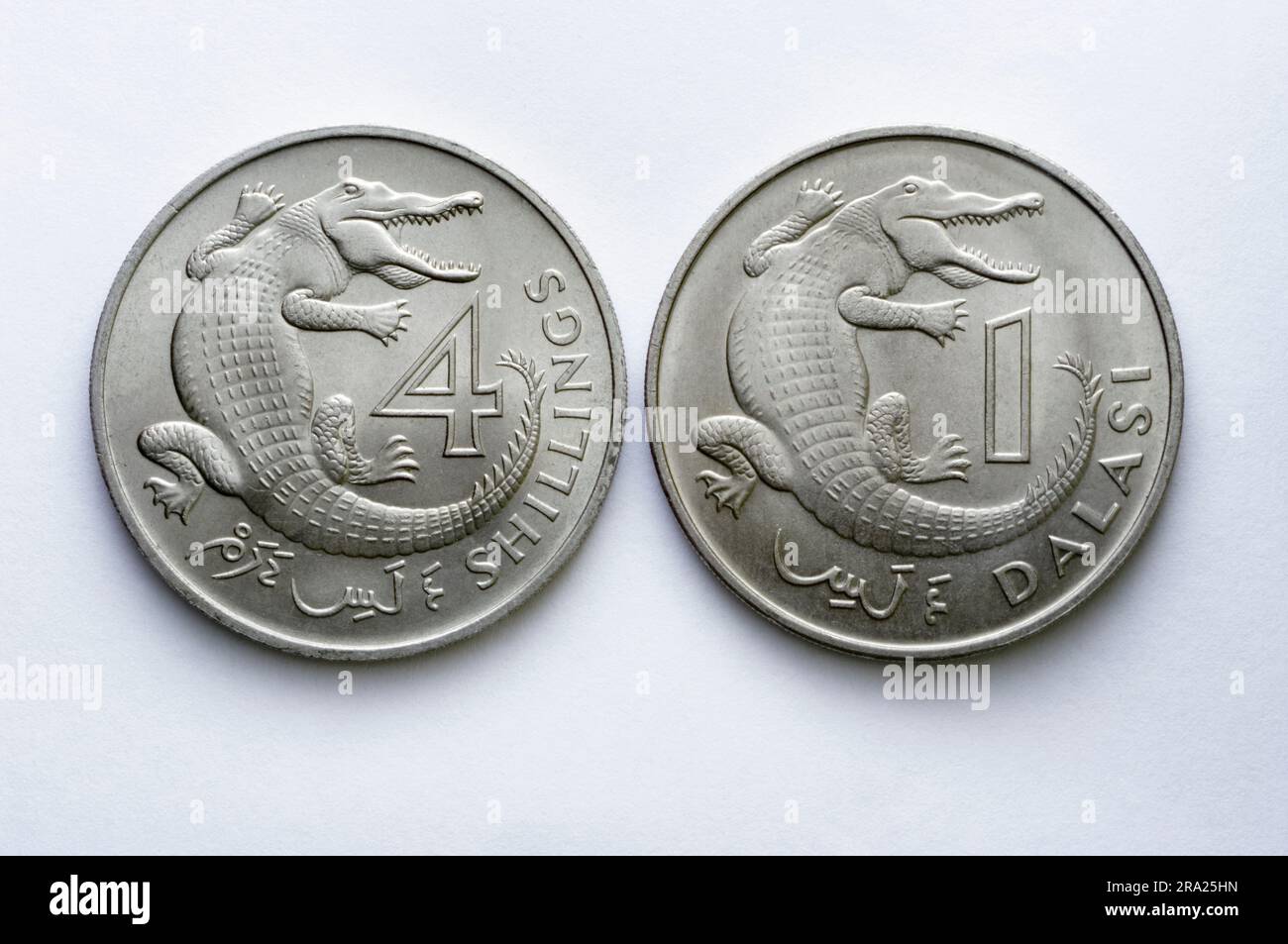 Gambia 4 shilling and 1 Dalasi Coins Stock Photo - Alamy