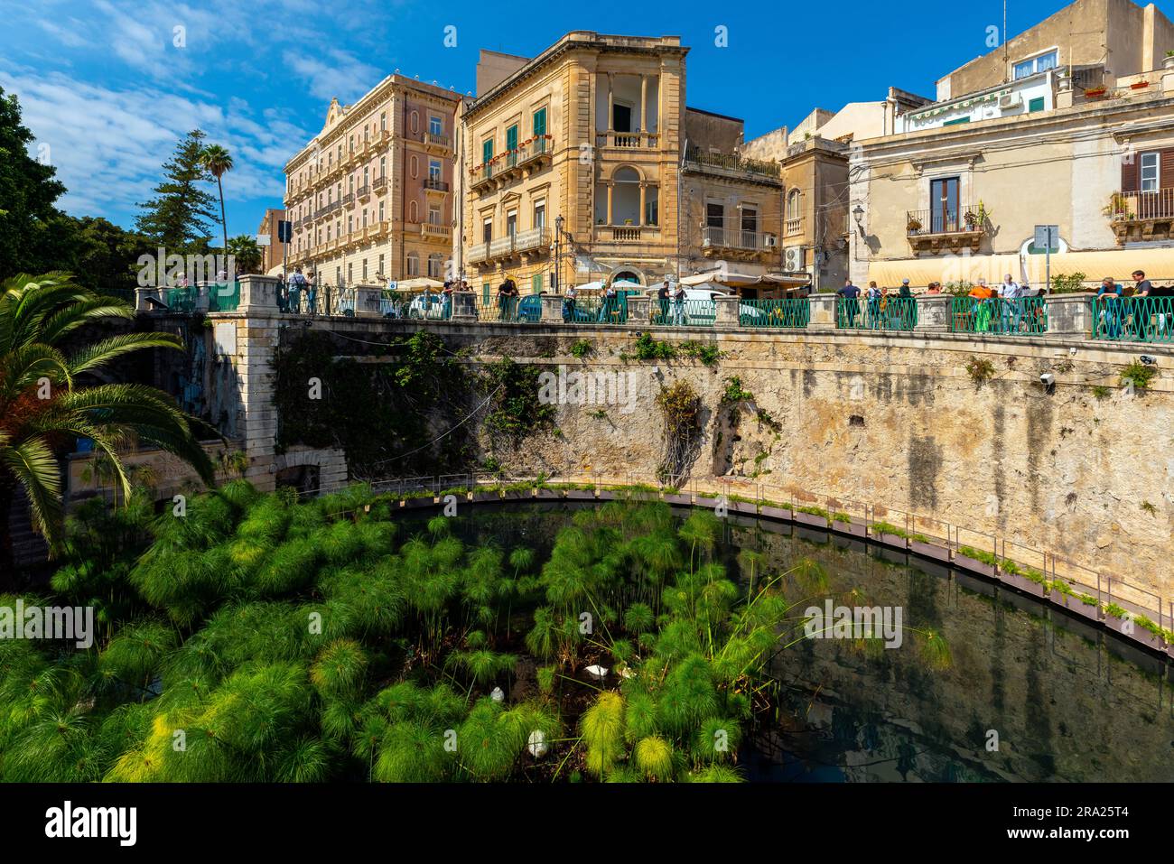 Fonte Aretusa, Siracuse. The Fountain of Arethusa (Fonte Aretusa), is a ...