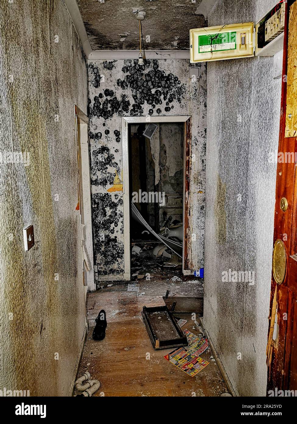 Black mold appears to be growing throughout GLASGOW, SCOTLAND WELCOME ...