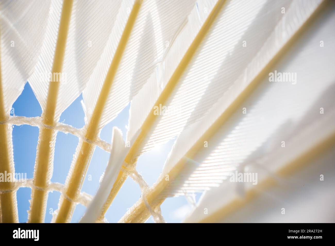 Shuttlecock for badminton close-up. Detailed texture and expressive ...