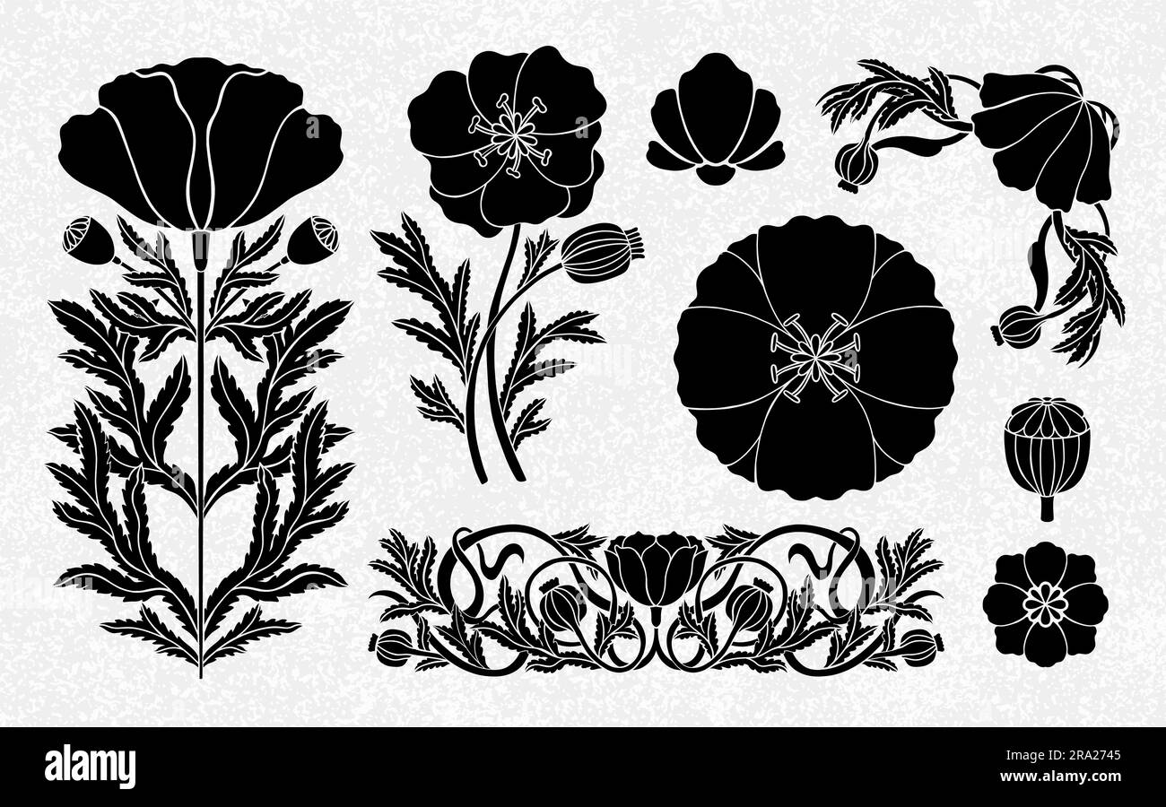 Floral poppy plant in art nouveau 1920-1930. Hand drawn in a linear ...