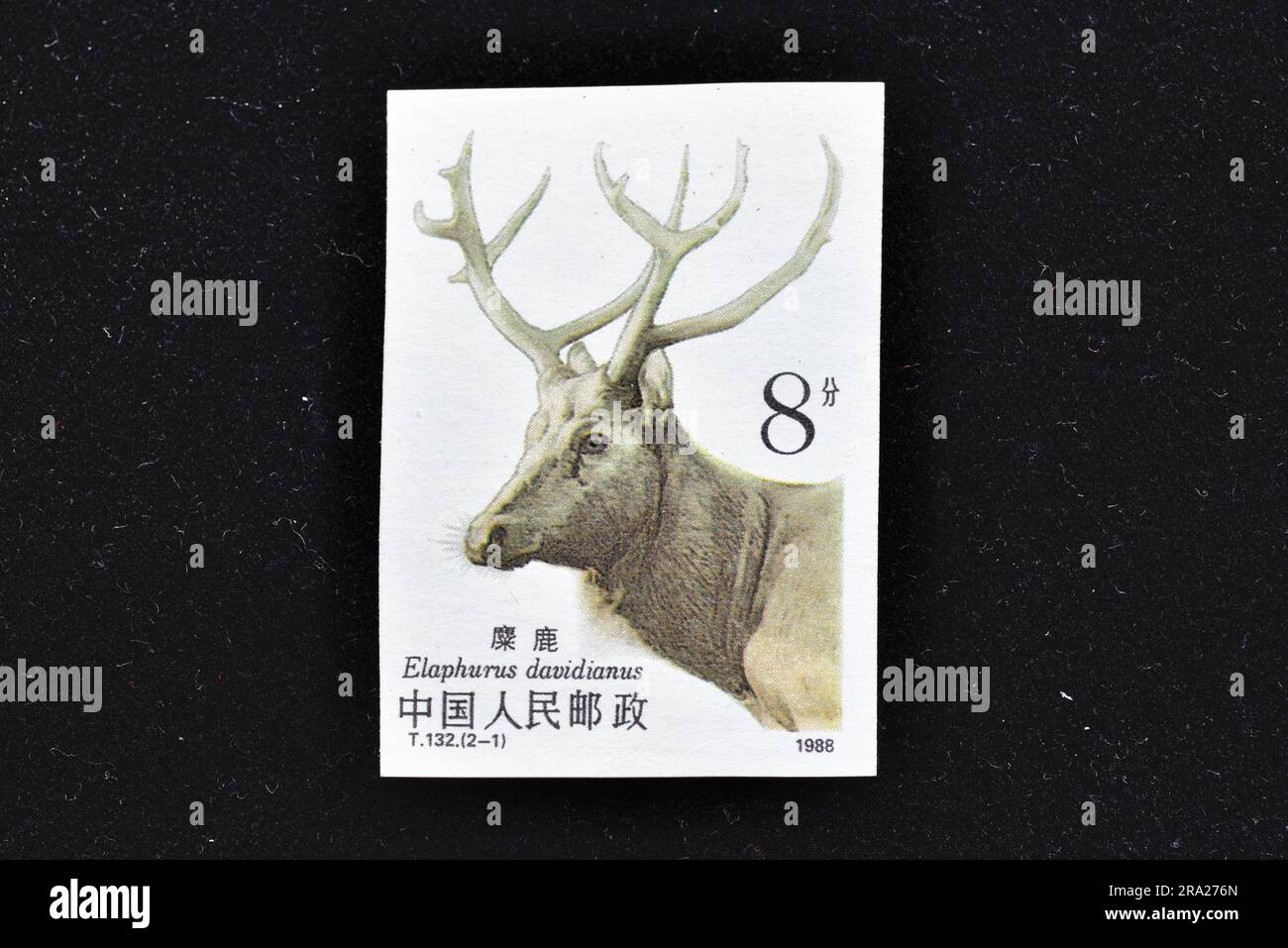 Imperforated stamp hi-res stock photography and images - Alamy