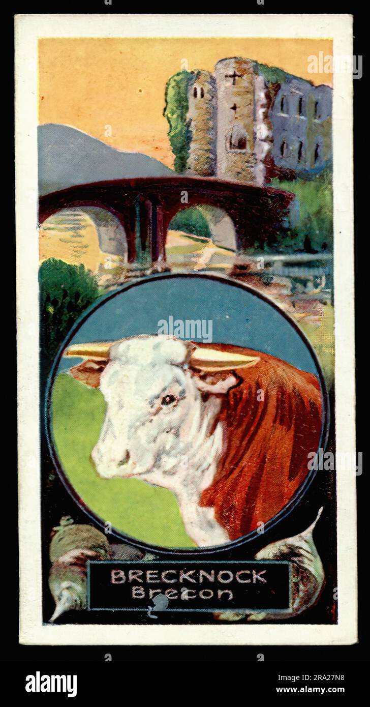 Brecknock - Vintage Cigarette Card Stock Photo - Alamy