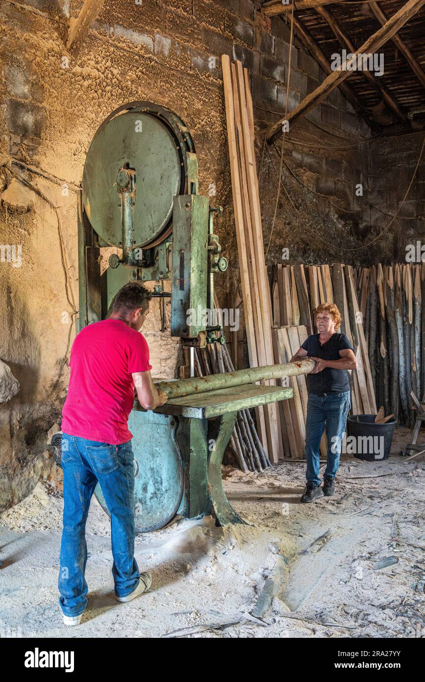 A mother and her son work together splitting logs using an old bandsaw ...