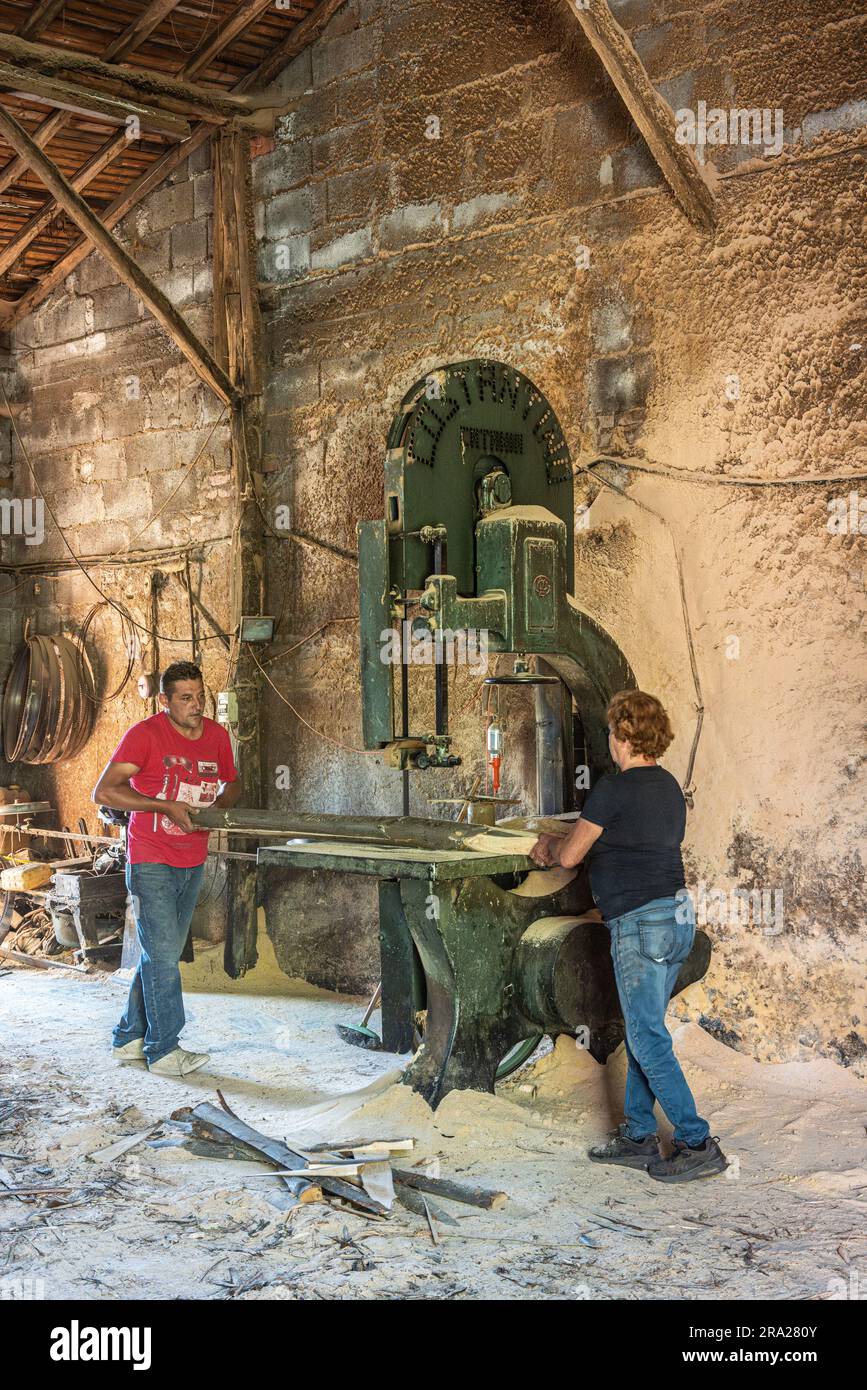A mother and her son work together splitting logs using an old bandsaw ...