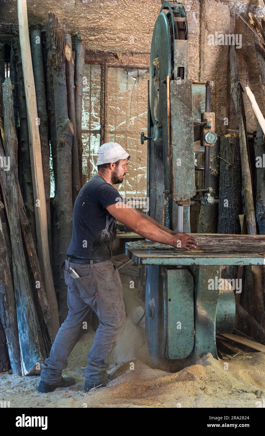 Splitting logs using an old bandsaw in a village timber yard high on ...
