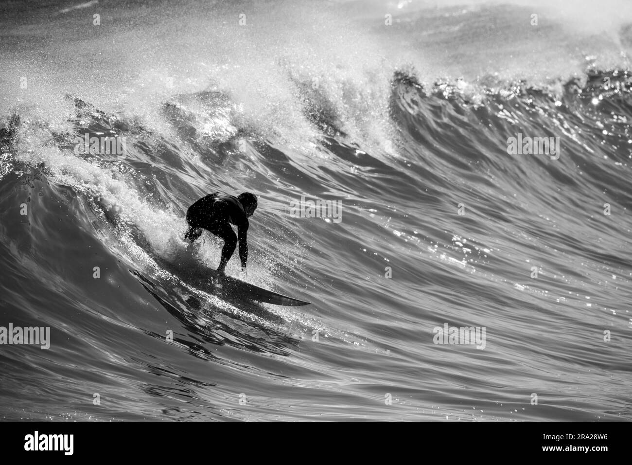 Wave curl surfer Black and White Stock Photos & Images - Alamy