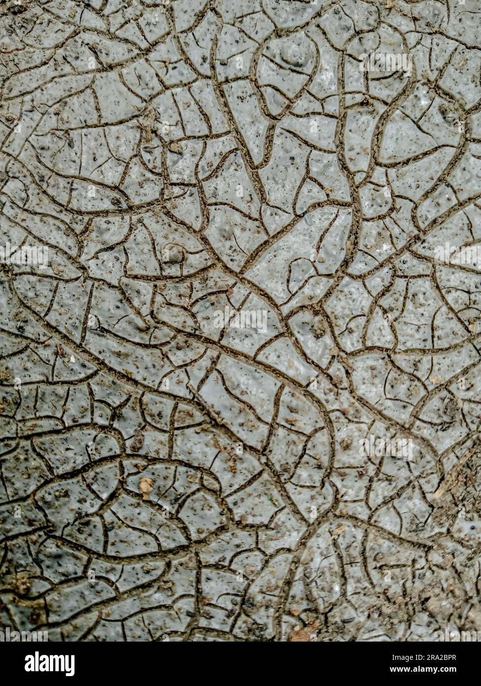 A picture of a barren landscape in Bangladesh during the hot summer ...