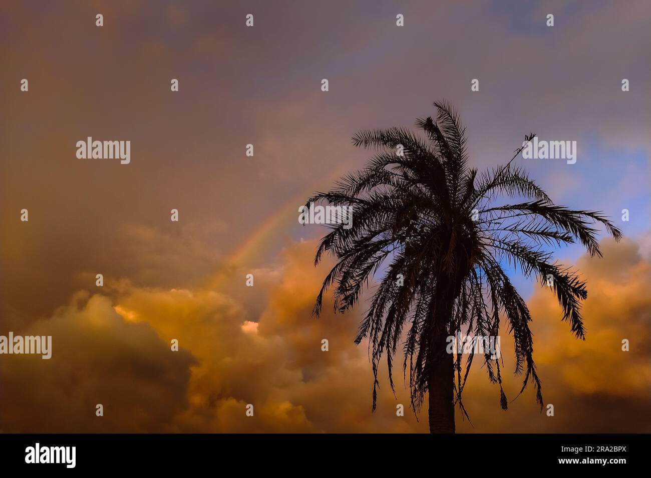 An idyllic and vibrant landscape in Bangladesh featuring a picturesque ...