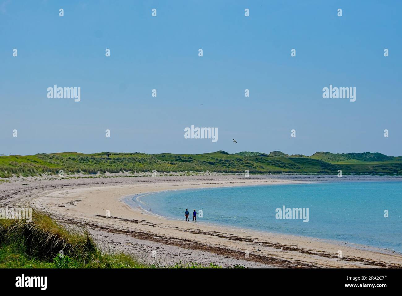 Balranald rspb hi-res stock photography and images - Alamy