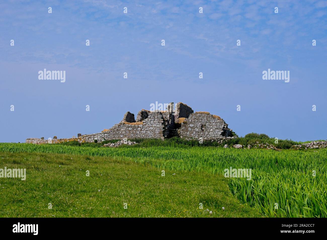 Trinity Temple, Carnish, Trinity Temple is a historic ruin, listed as ...