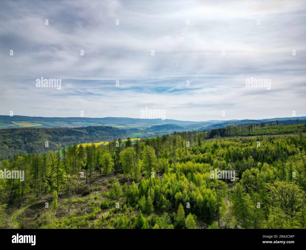 An aerial view of forest with dense trees Stock Photo - Alamy