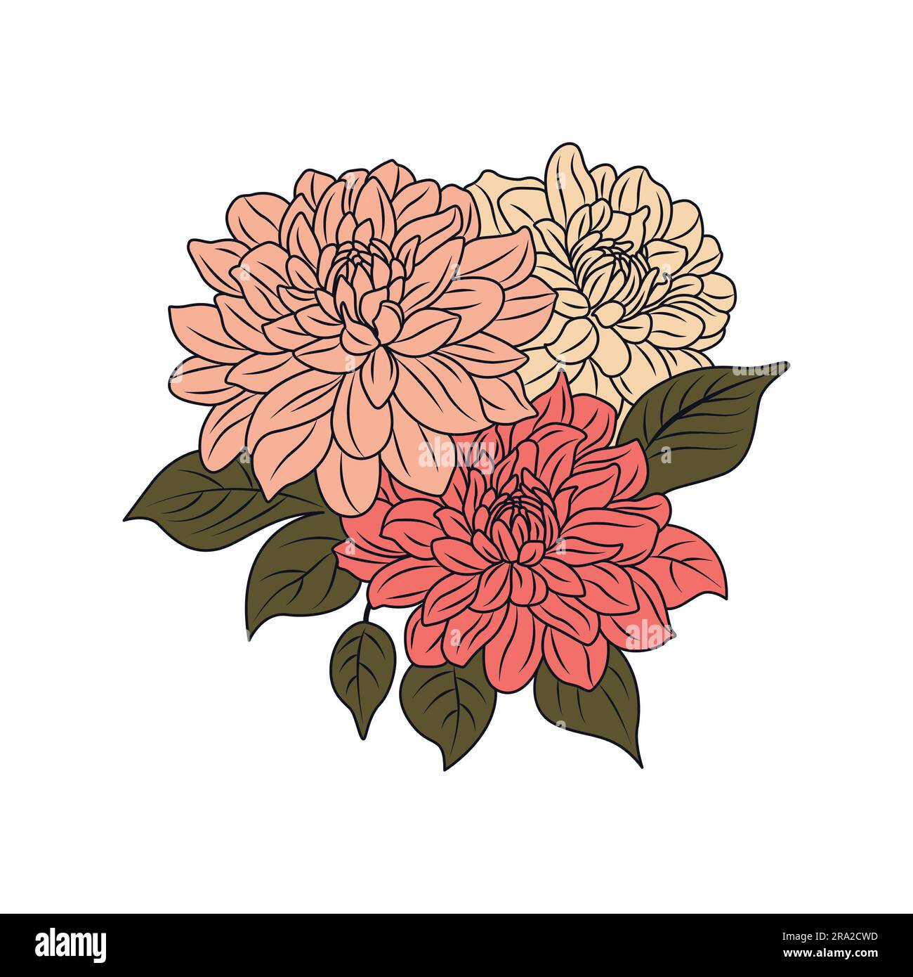 Dahlia Flower Illustration
