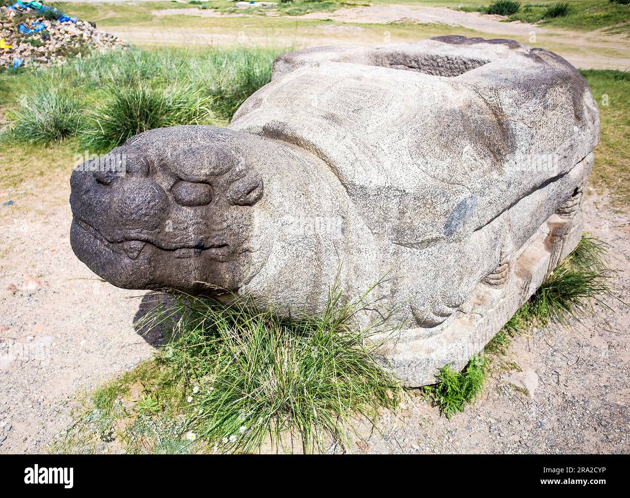 Tortoise tent props Stock Photo - Alamy