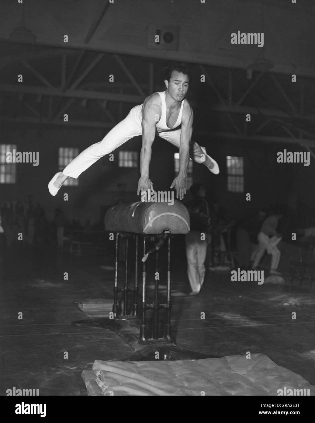 Young man doing gymnastics jumping over the stationary horse Stock ...