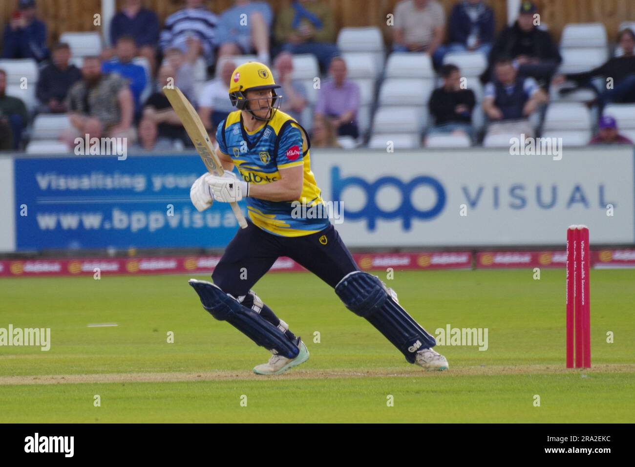 Rob yates bears hi-res stock photography and images - Alamy