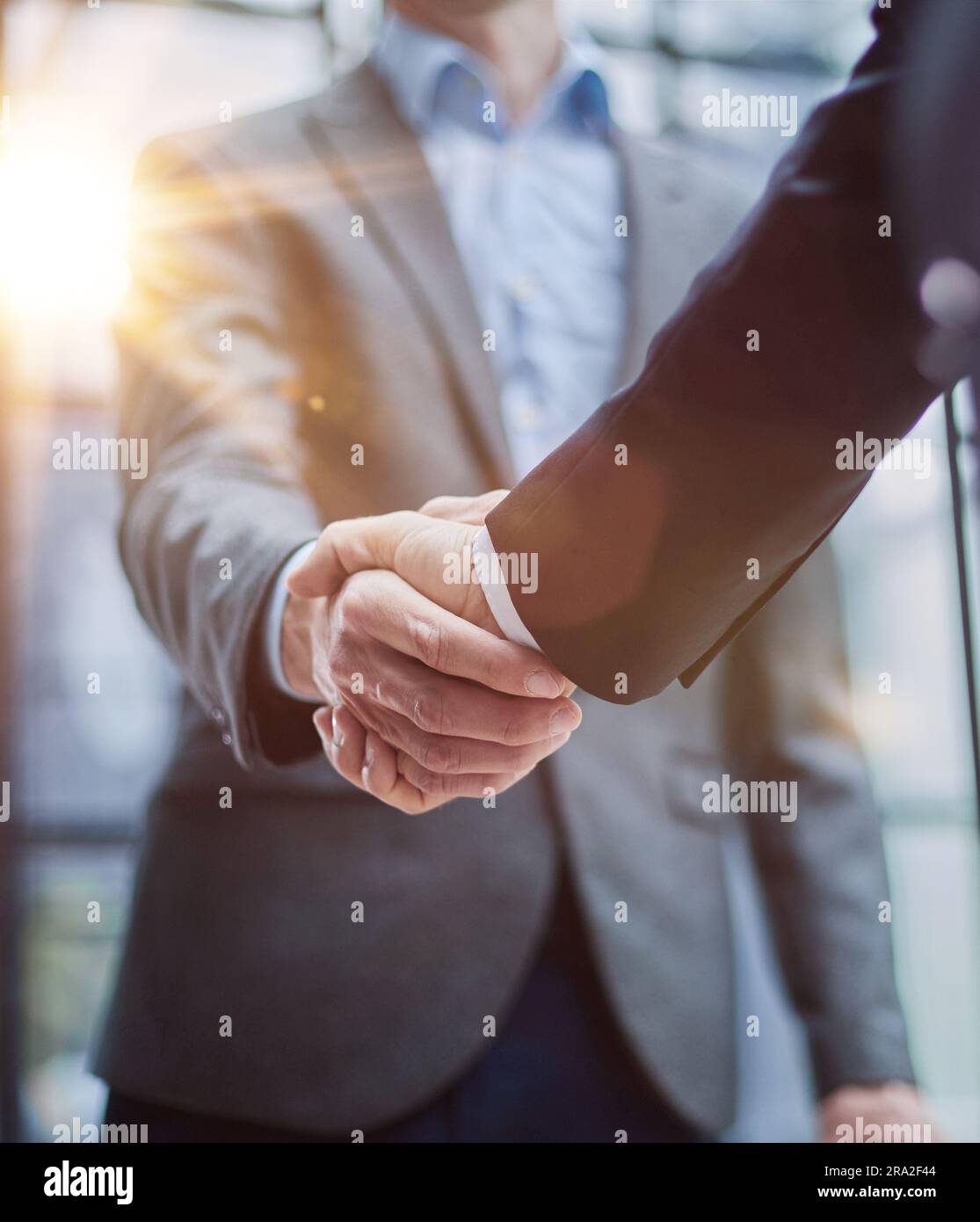 Two diverse professional business men executive leaders shaking hands ...