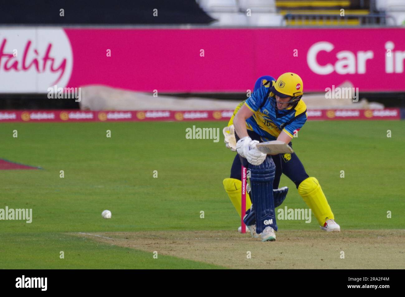 Rob yates bears hi-res stock photography and images - Alamy