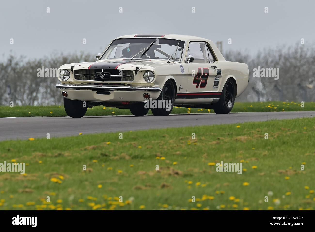 Michael Whitaker, Ford Mustang, HRDC Jack Sears Trophy for 1958-1966 ...