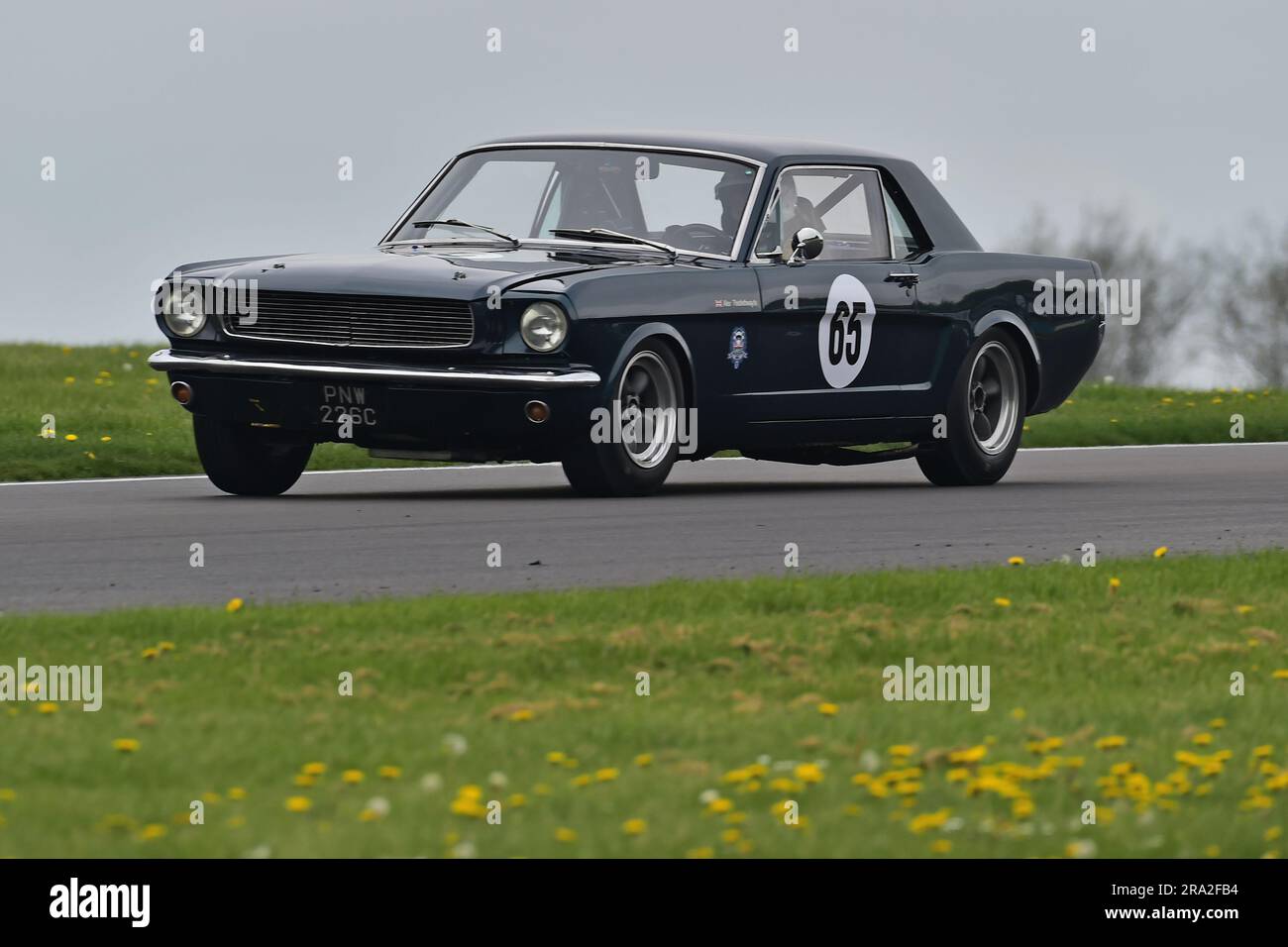 Alex Thistlewayte, Ford Mustang, HRDC Jack Sears Trophy for 1958-1966 ...