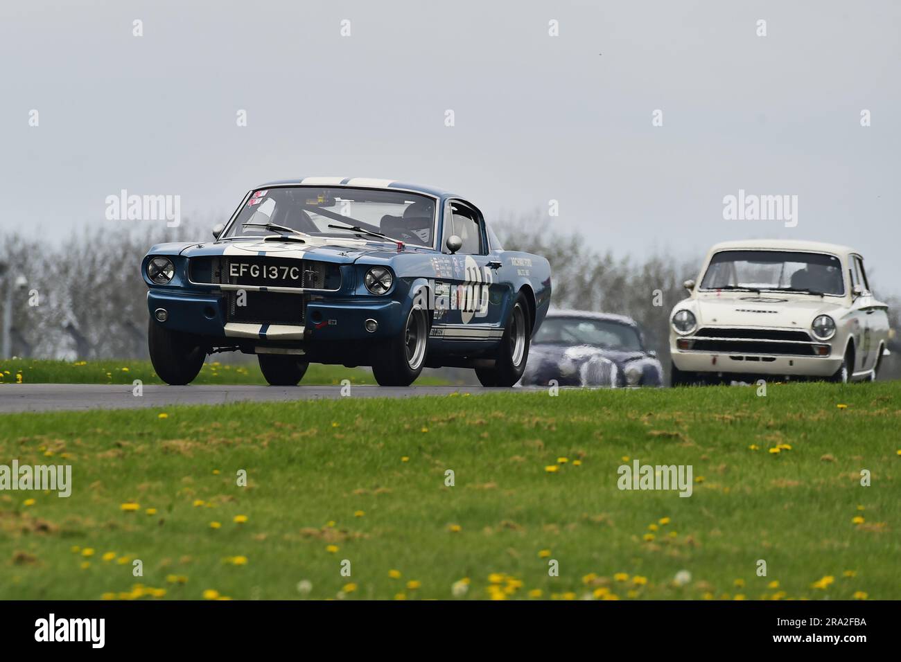 Larry Tucker, Laurie Tucker, Ford Shelby Mustang GT350R, HRDC Jack ...