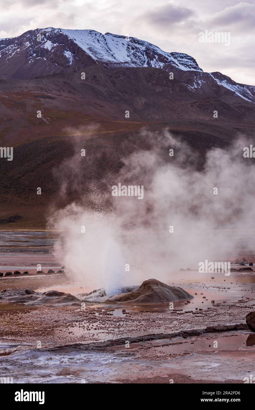 Geyser in atacama desert hi-res stock photography and images - Alamy