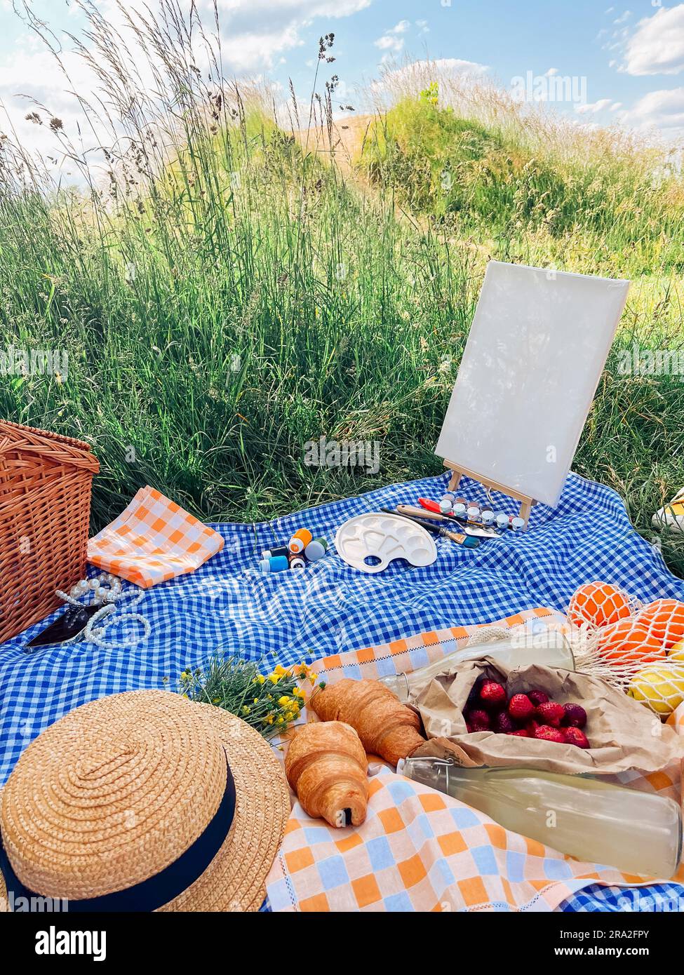 Scenes At A Park Picnic