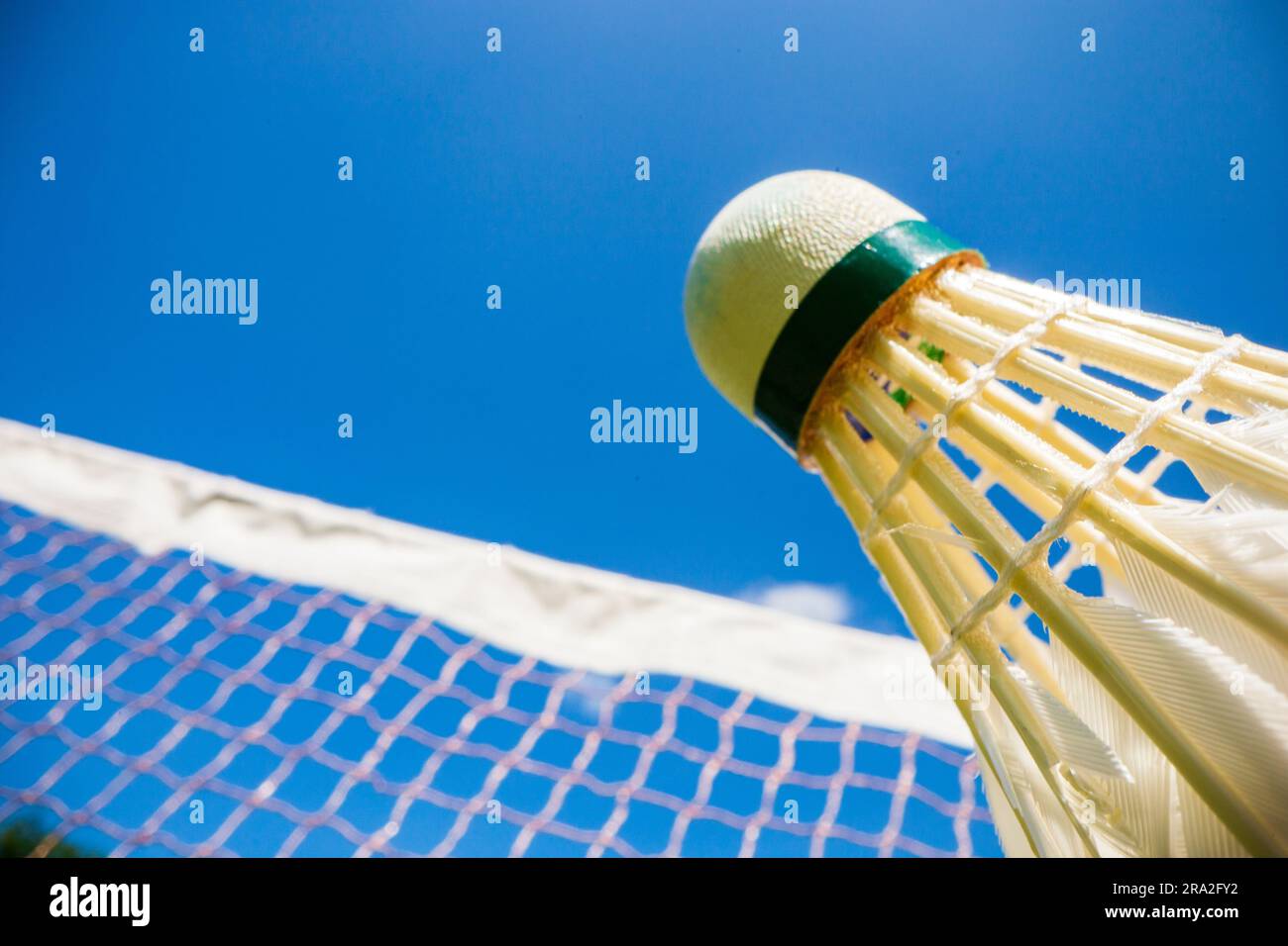Shuttlecock for badminton close-up. Detailed texture and expressive ...