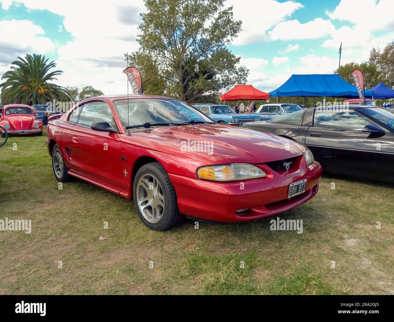 Red sport muscle car Ford Mustang GT 5 coupe on the lawn, the CAACMACH ...