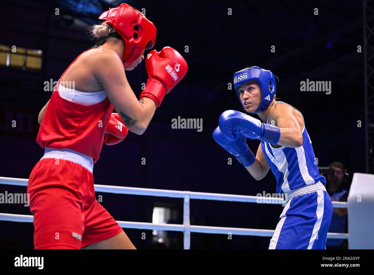 Hungarian boxer hi-res stock photography and images - Alamy