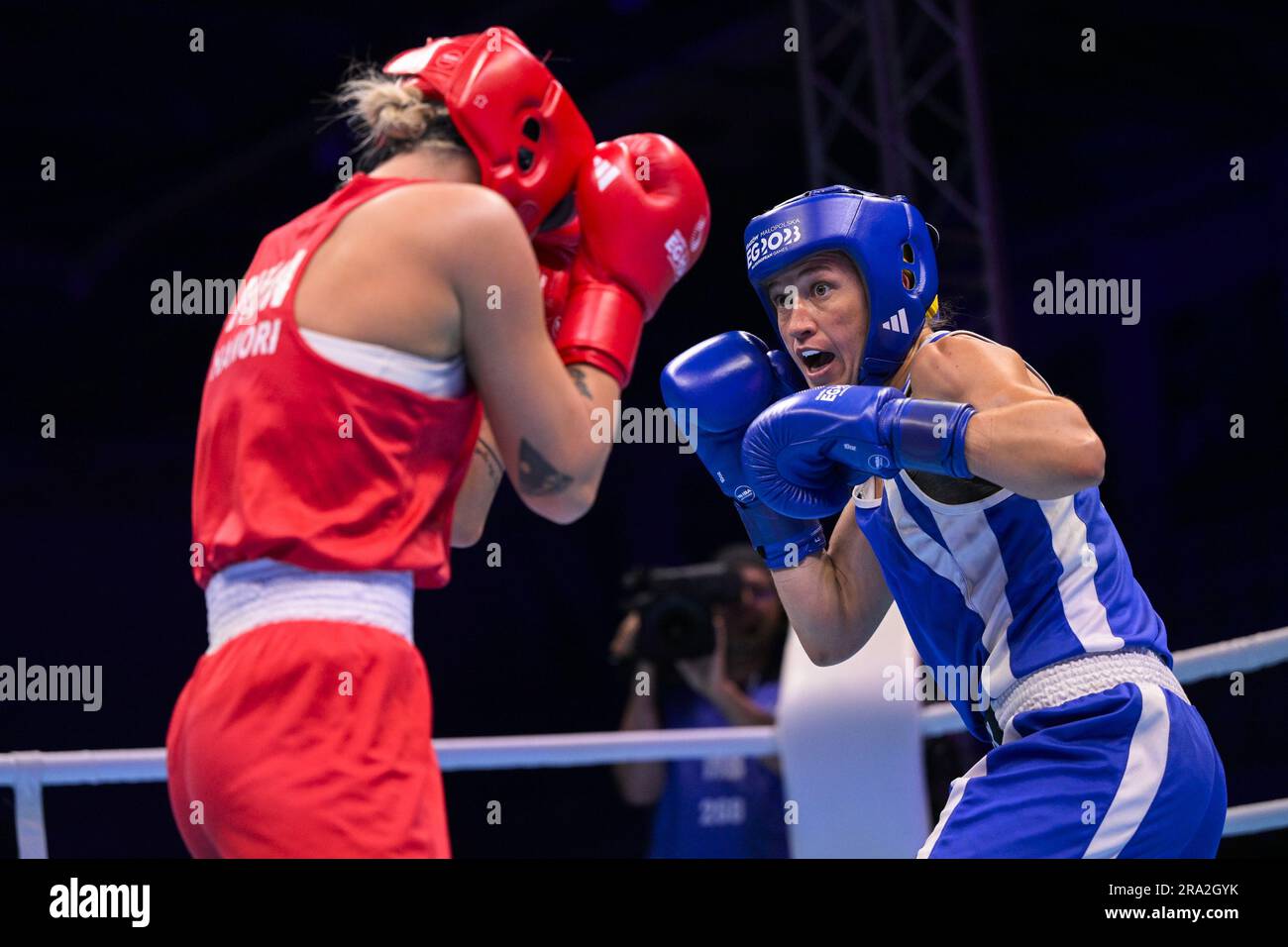 Hungarian boxer hi-res stock photography and images - Alamy