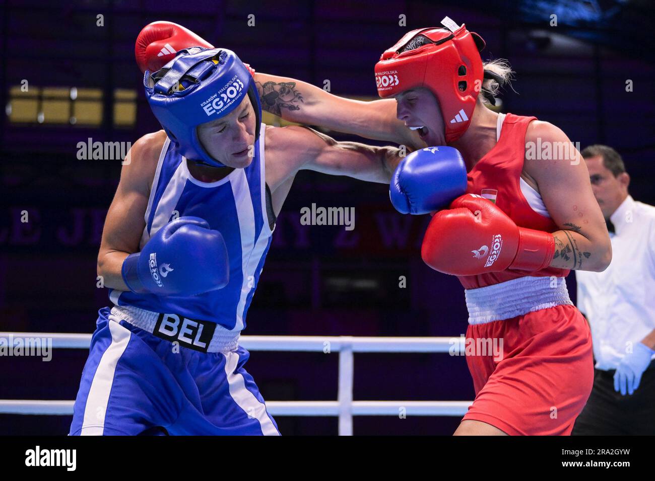 Hungarian boxer hi-res stock photography and images - Alamy